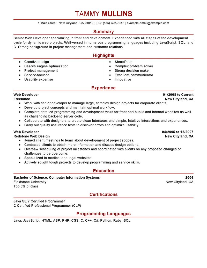 Computer Resume Examples - RESUMEBULKMAILER Computer Resume Examples - RESUMEBULKMAILER