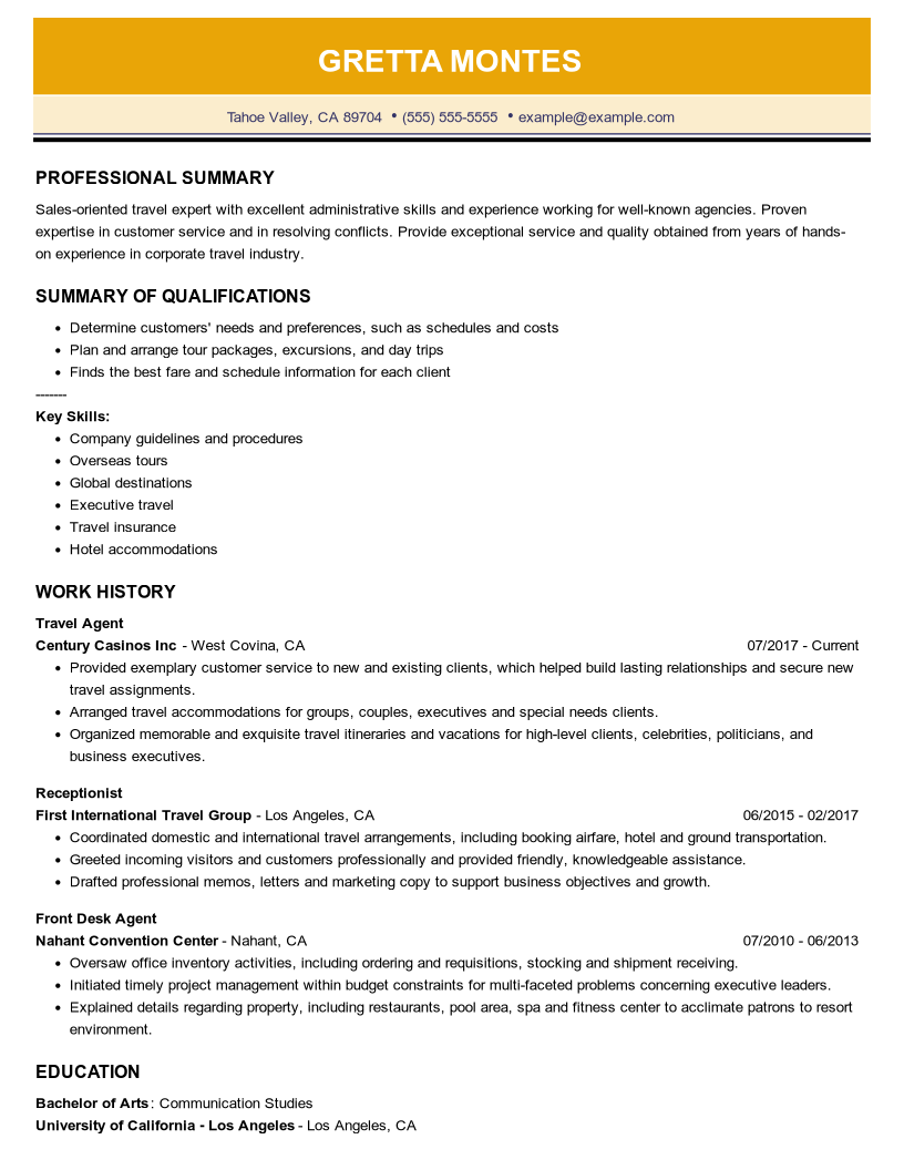 Professional Travel Resume Examples