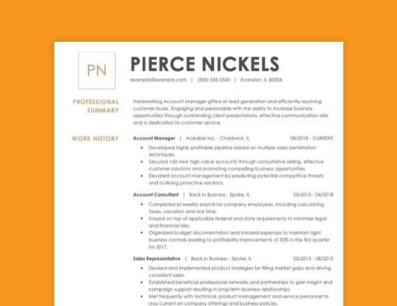Professional Management Resume Examples