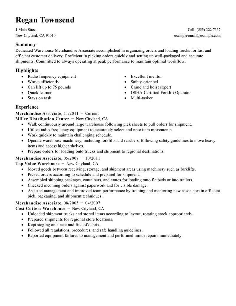 Professional Merchandise Associate Resume Examples