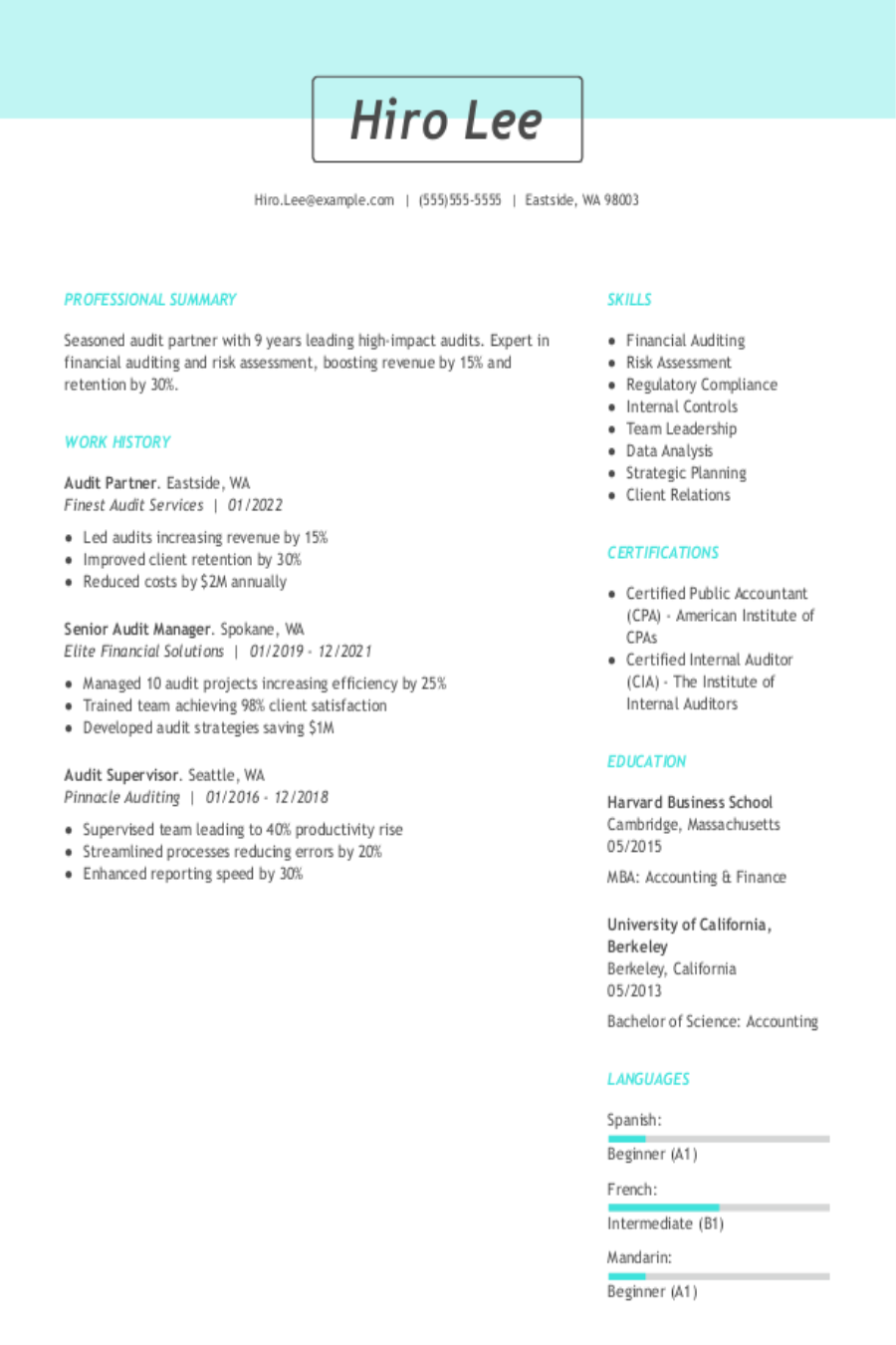 4 Audit Partner Resume Examples, Templates & Tips for 2026