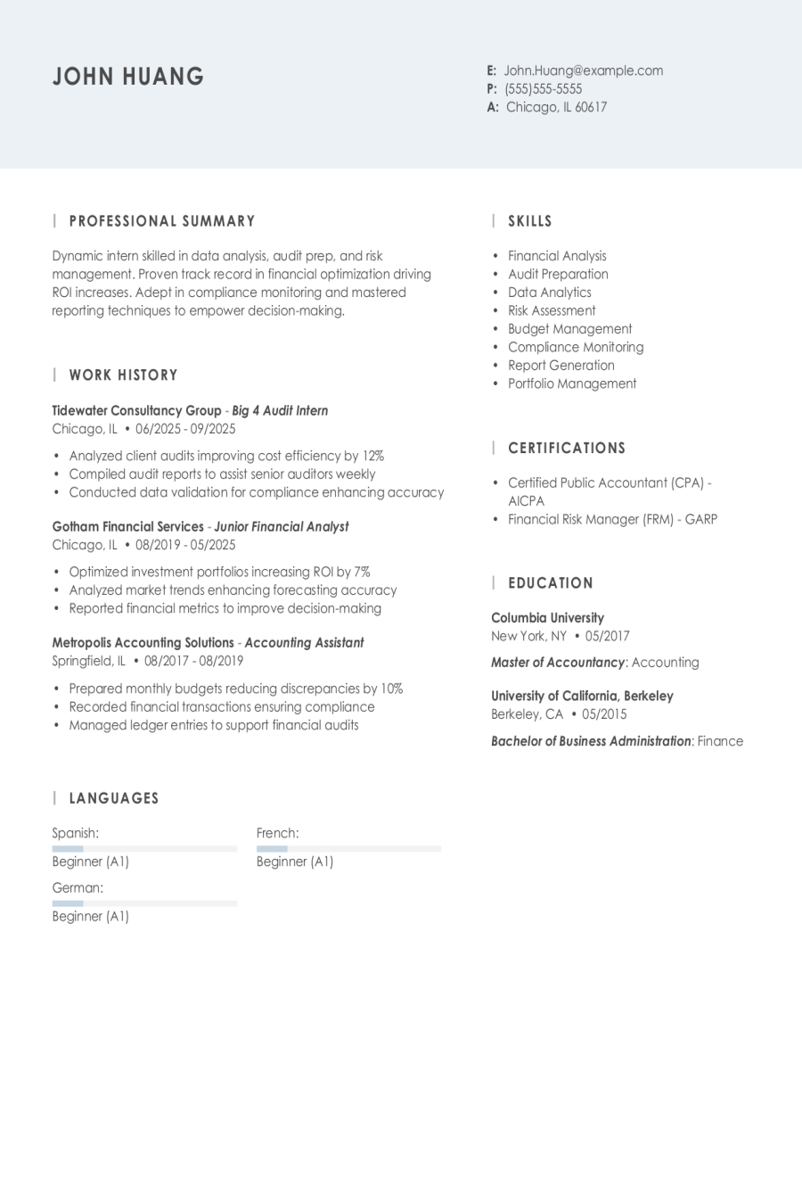 4 Big 4 Audit Intern Resume Examples, Templates & Tips for 2026