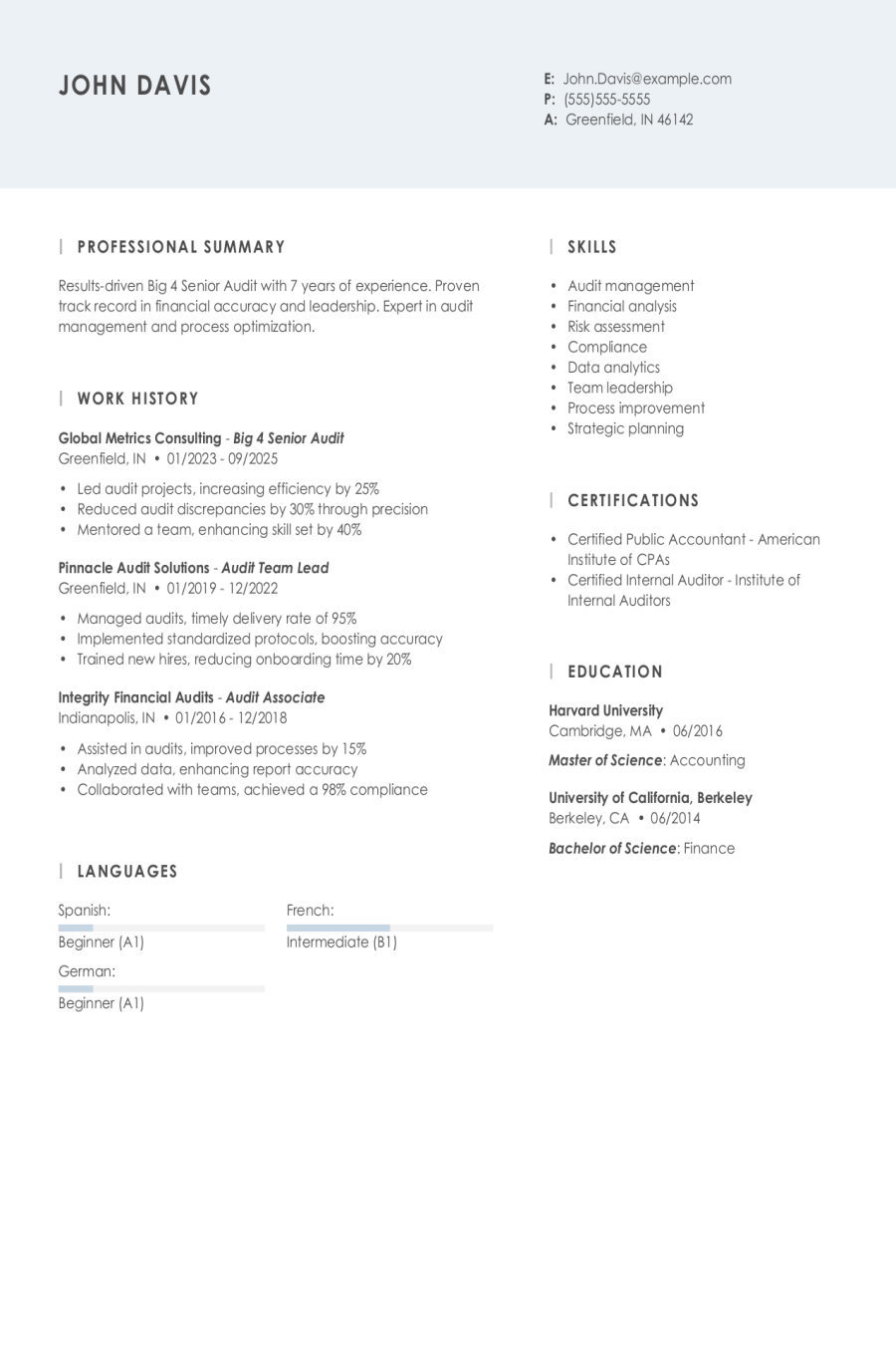 4 Big 4 Senior Audit Resume Examples, Templates & Tips for 2025