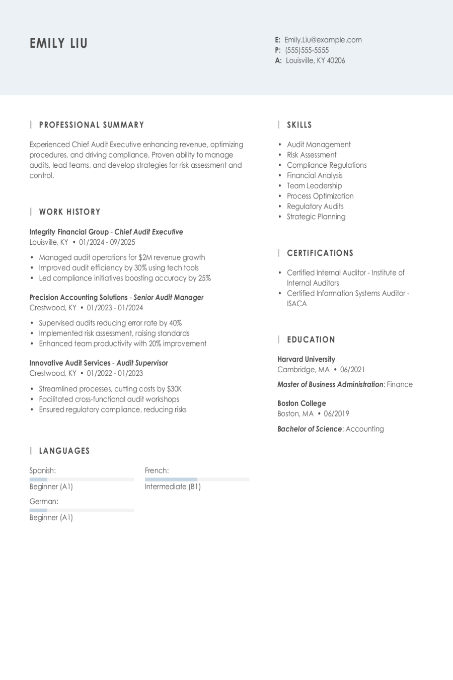 4 Chief Audit Executive Resume Examples, Templates & Tips for 2026