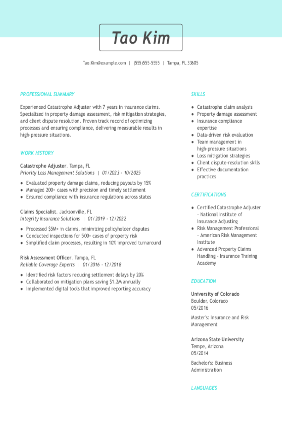 4 Catastrophe Adjuster Resume Examples, Templates, & Tips for 2025
