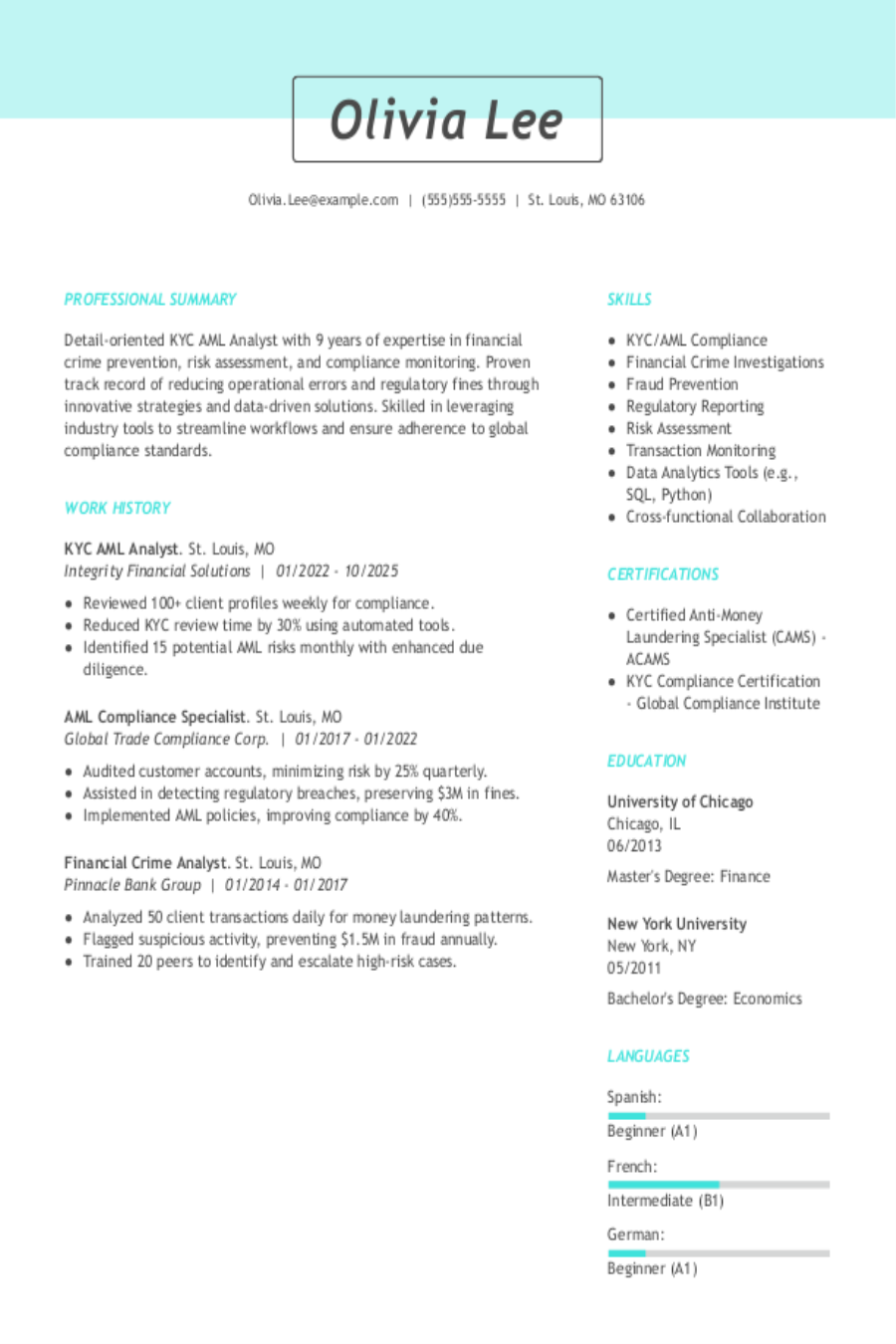 4 Kyc Aml Analyst Resume Examples, Templates, & Tips for 2026