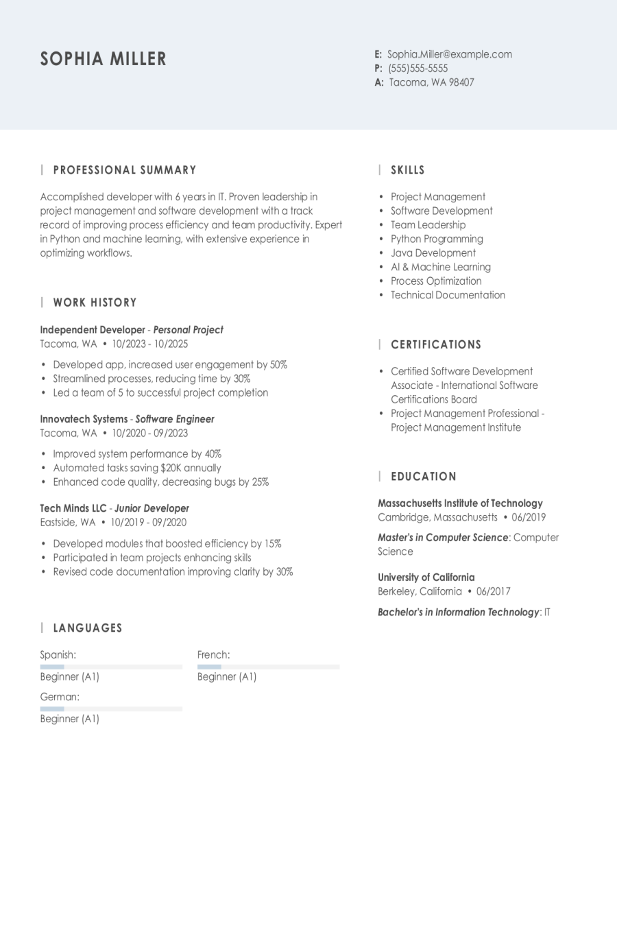 4 Personal Project Resume Examples, Templates, & Tips for 2025