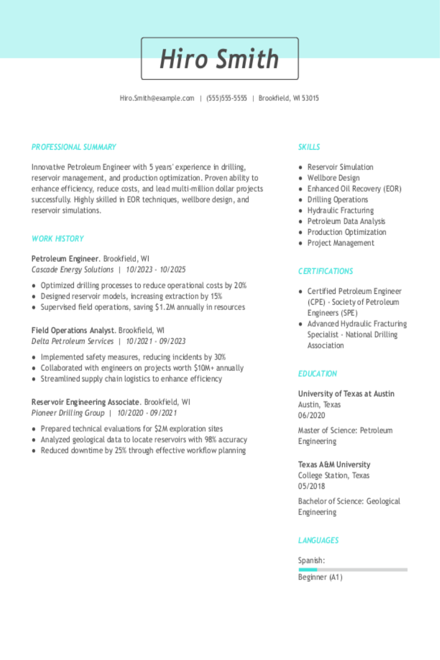 4 Petroleum Engineer Resume Examples, Templates, & Tips for 2026