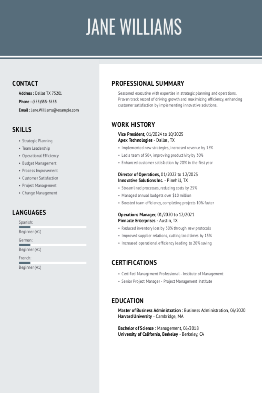 4 Vice President Resume Examples Templates Tips For 2026