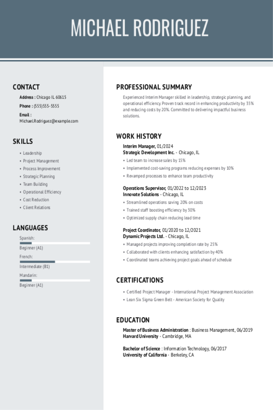 4 Interim Manager Resume Examples, Templates, & Tips for 2025