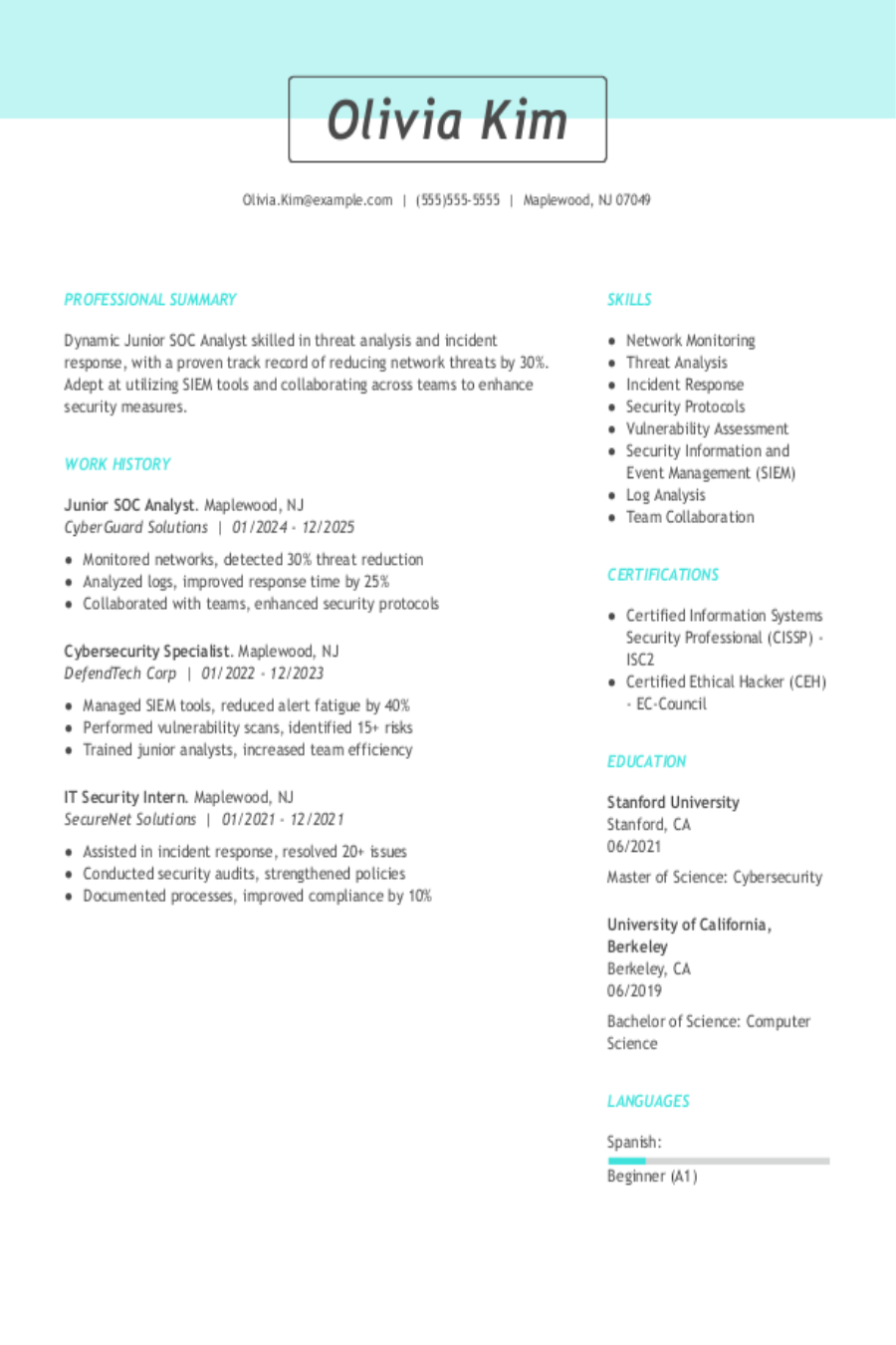 4 Junior SOC Analyst Resume Examples, Templates, & Tips for 2026