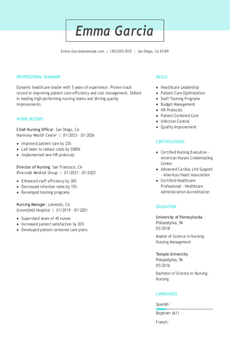 4 Chief Nursing Officer Resume Examples, Templates, & Tips for 2026