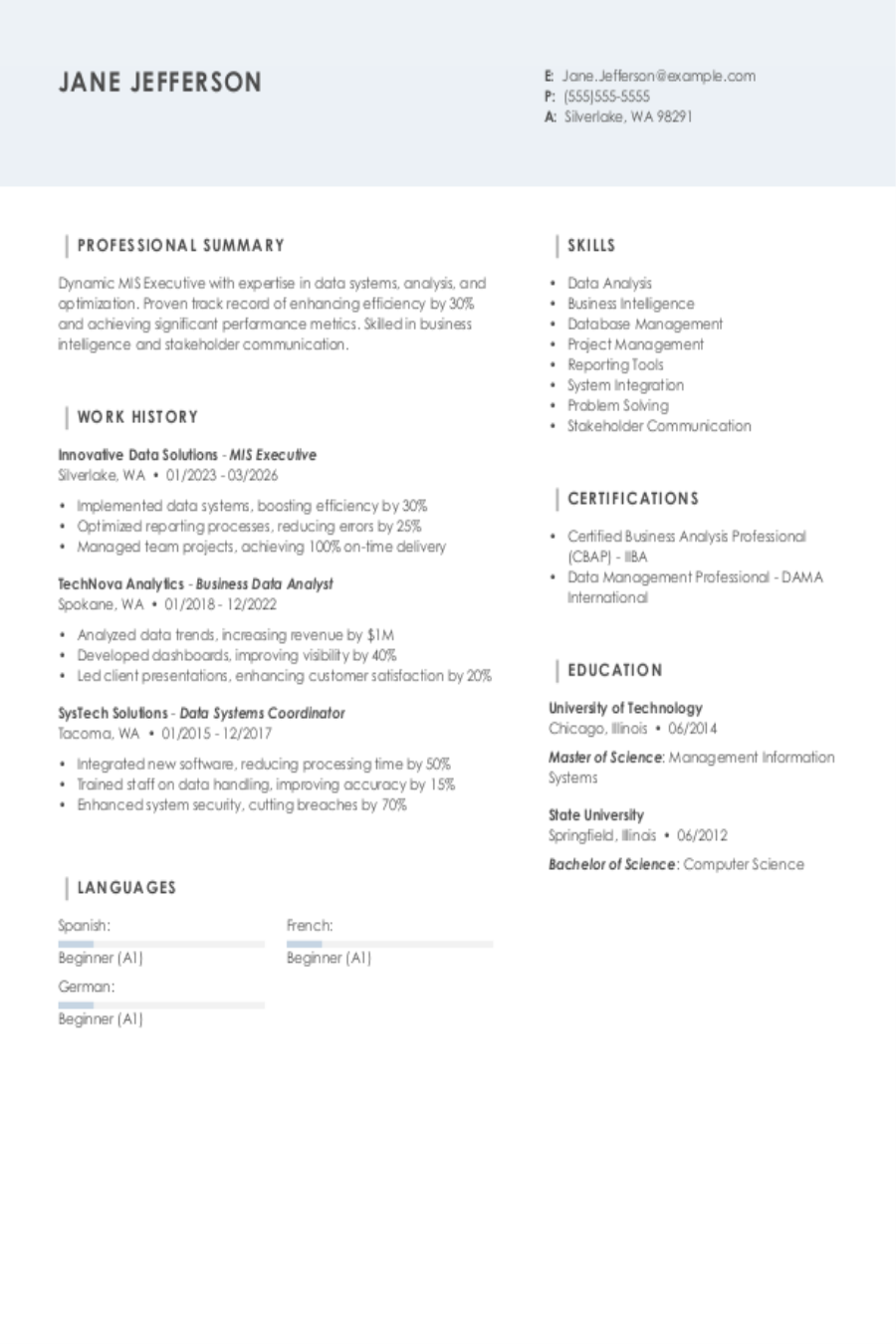 4 Mis Executive Resume Examples, Templates, & Tips for 2026