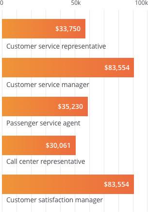 Professional Customer Service Resume Examples