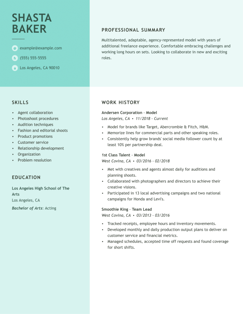 Professional Model Resume Examples