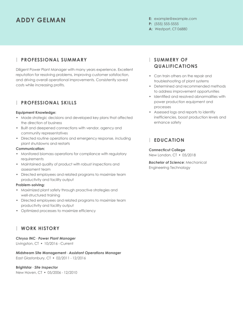 Professional Energy Resume Examples
