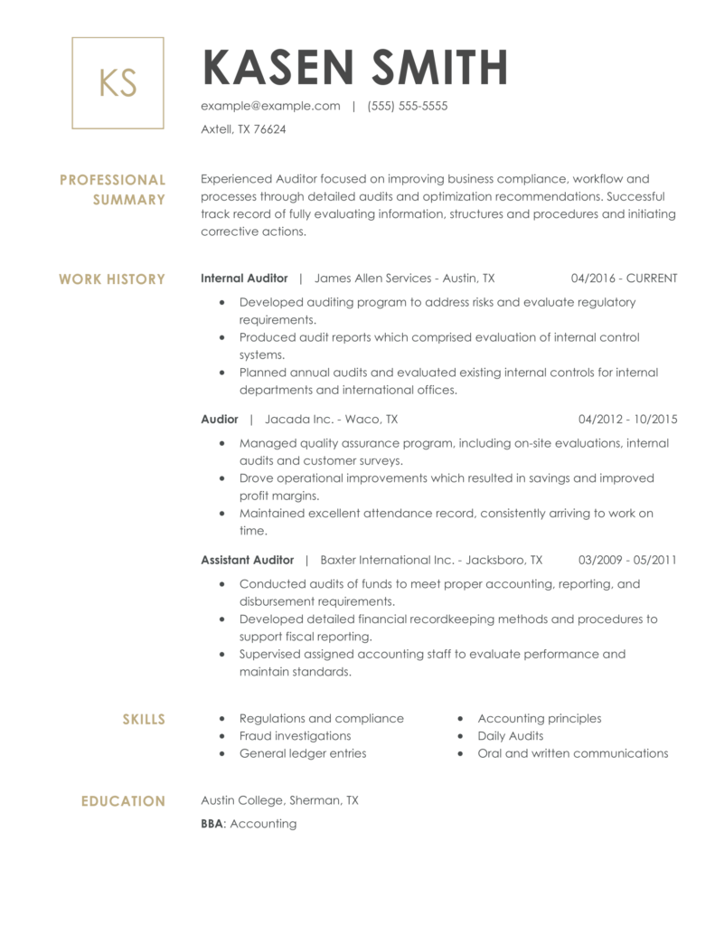 Professional Auditor Resume Examples
