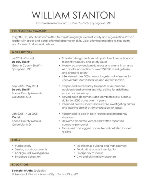 Professional Law Enforcement Resume Examples