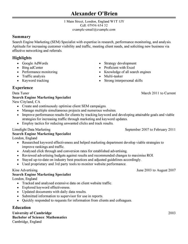 Professional Search Engine Marketing Analyst Resume Examples
