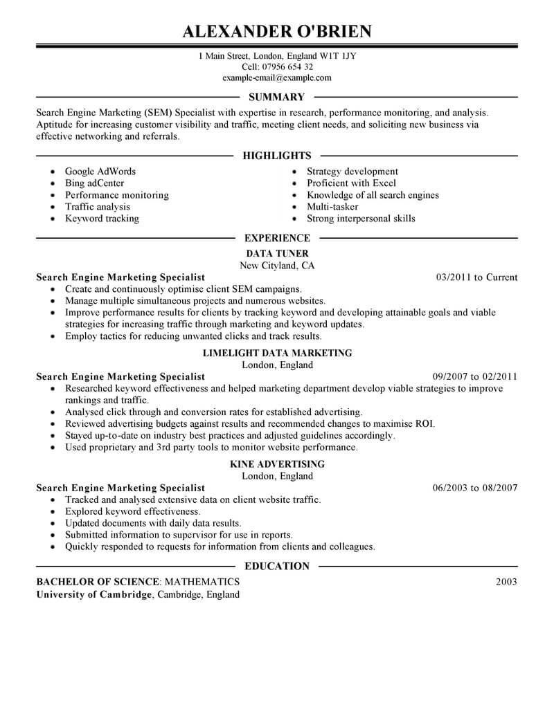 Professional Search Engine Marketing Analyst Resume Examples