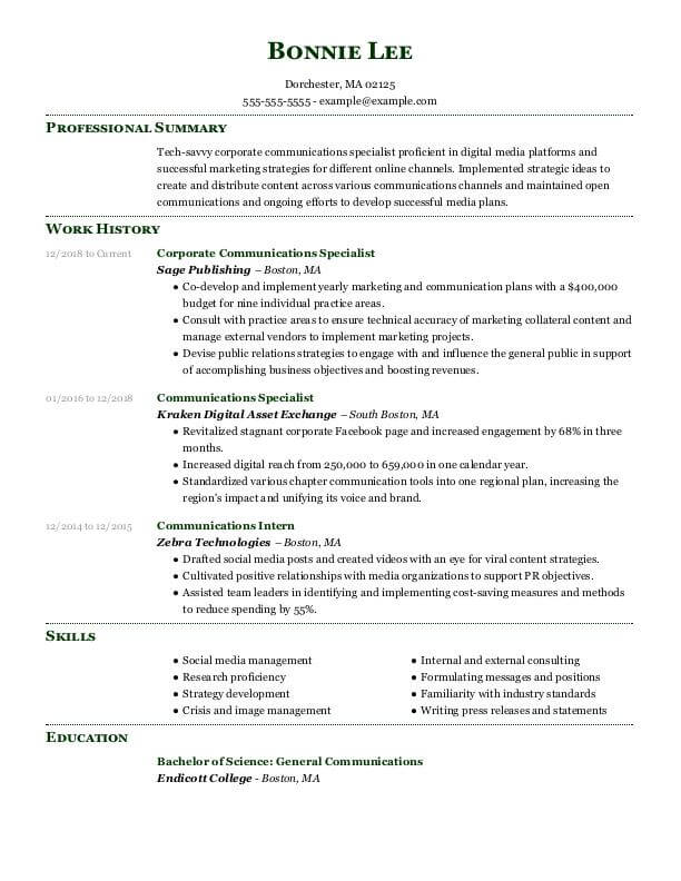 400+ Resume Examples to Land You The Interview in 2023
